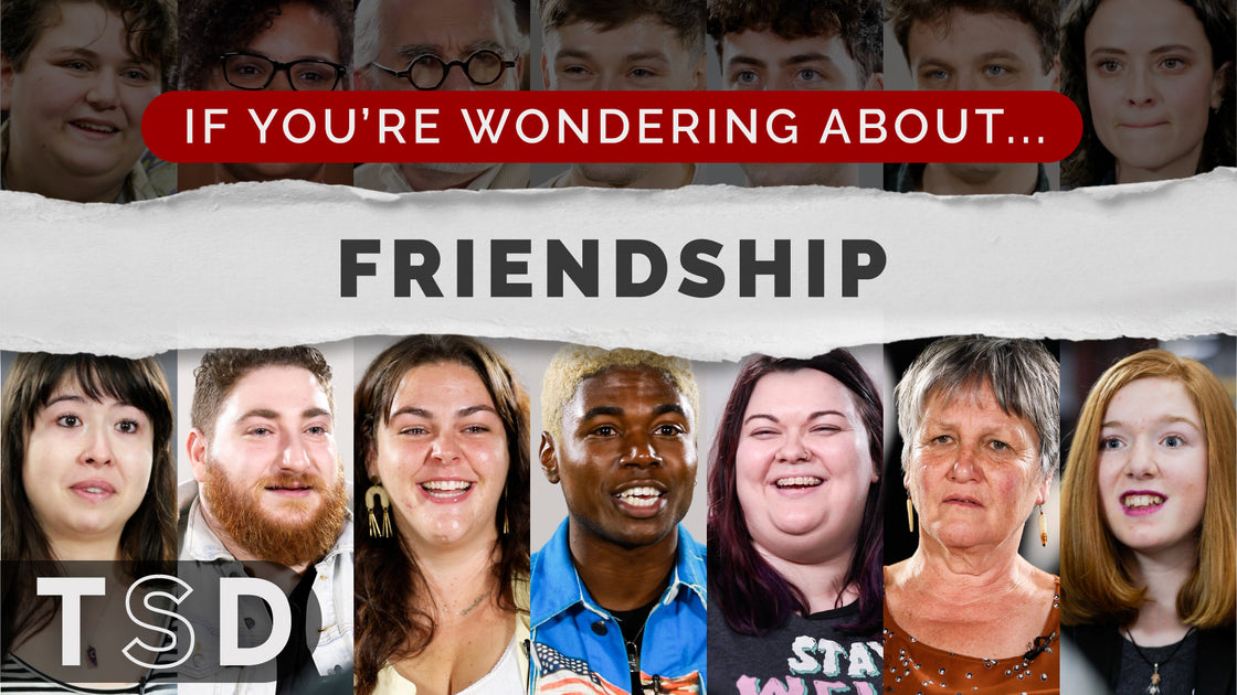 If You're Wondering About... Friendship – The Skin Deep